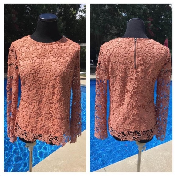 Adiva | Tops | New Adiva Lace Knit Blouse Wsheer Sleeves | Poshmark